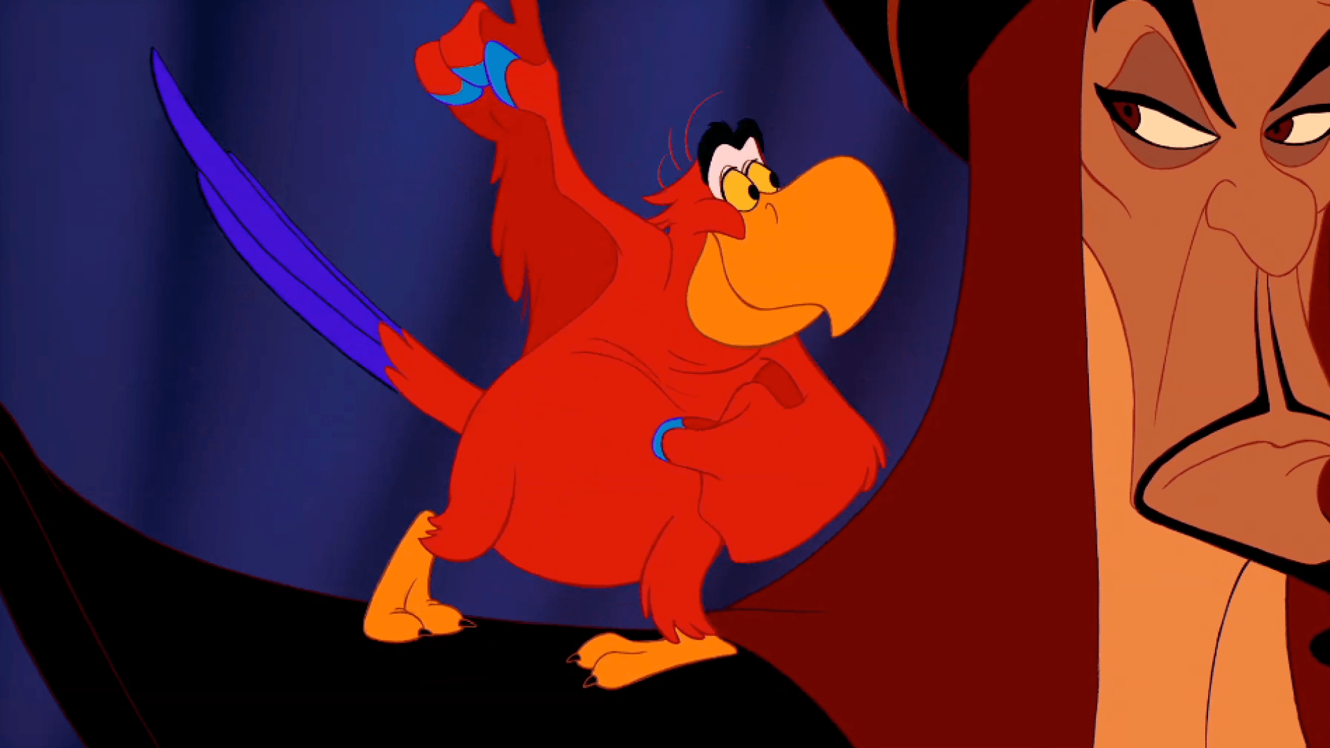 Here are 9 parrots I think should be cast as Iago in Disney’s live ...